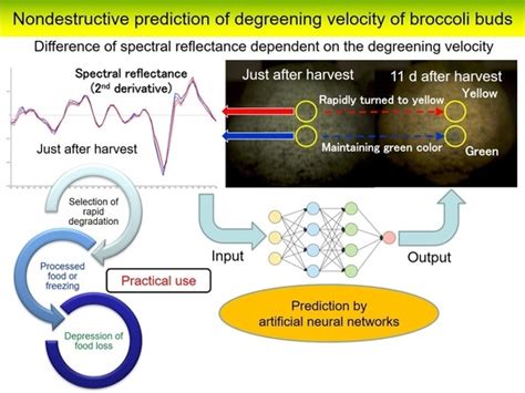 Foods Special Issue Recent Developments In The Applications Of Computer Vision Technology