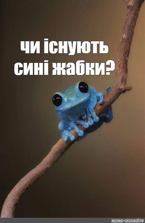 Создать мем большеглазая лягушка лягушка квакша австралийская голубая квакша Картинки
