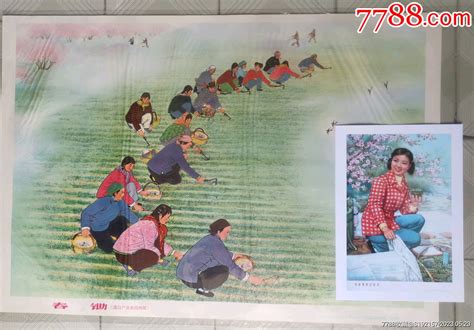 文后期《春锄》（赠12寸稀少年画彩照）宣传画红年画【7788收藏收藏热线】