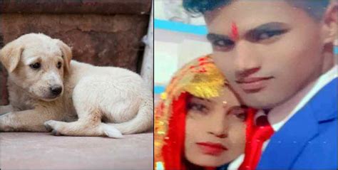 Udham Singh Nagar Husband Bring Puppy To Home Wife Suicide उत्तराखंड
