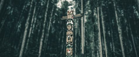 Addressing The Healthcare Needs Of Indigenous Populations Our Voices