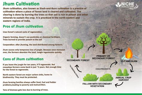 Shifting Cultivation Is Best Described As Jillian Has Olson
