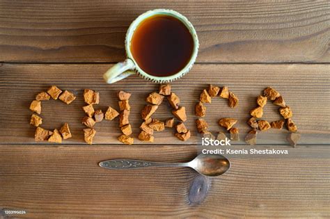 자작 나무에서 차가 차 버섯 민간 요법에서 차 또는 커피를 치유 하는 데 사용 단어 Chaga Chaga 버섯의 조각에서 배치