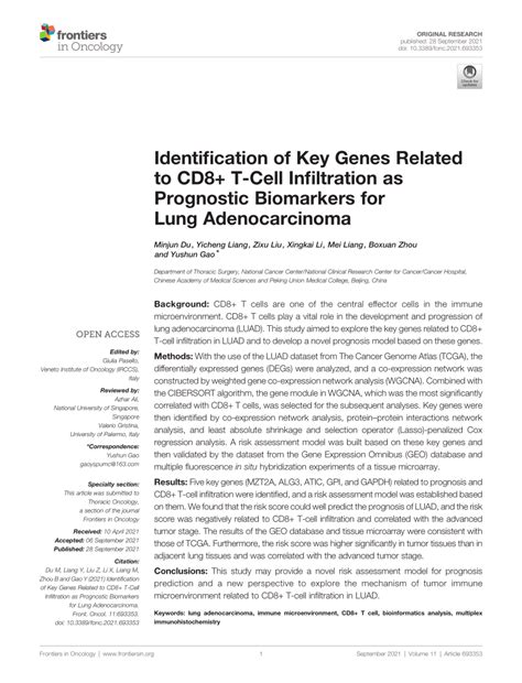 Pdf Identification Of Key Genes Related To Cd8 T Cell Infiltration