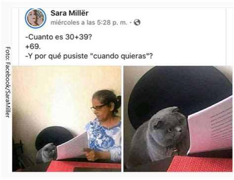 Los Memes Más Virales Del 2019 ¡te Harán Reír Hasta El 2020