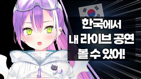 토와사마 라이브 공연을 한국에서 볼 수 있다고 [홀로라이브 토코야미 토와] Youtube