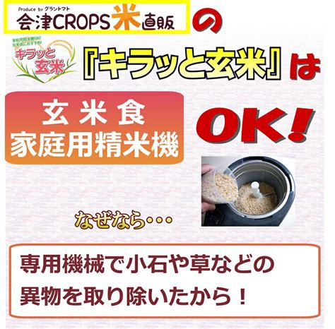 【国内配送】 玄米 福島 米 30kg 送料無料 つきあかり 福島県産 令和4年産 30kg×1袋 お米 キラッと玄米 あす楽 Egy
