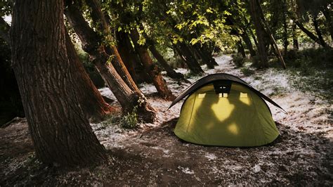 Sex im Wald Tipps für Ihr Outdoor Abenteuer