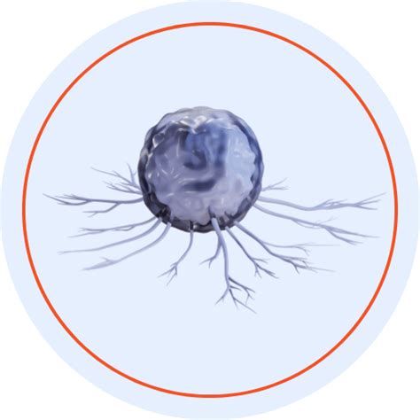 Cytopathology Lab Equipments Archives Lab Wale