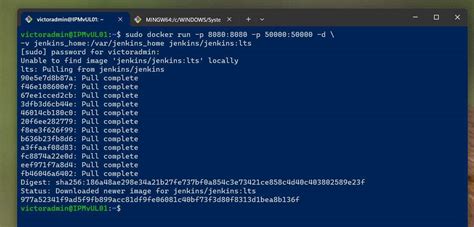 How To Install Jenkins On Ubuntu With A Docker Container Cloudspress