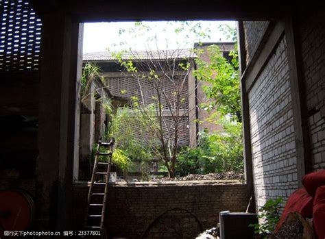 屋外小树图片免费下载 屋外小树素材 屋外小树模板 图行天下素材网