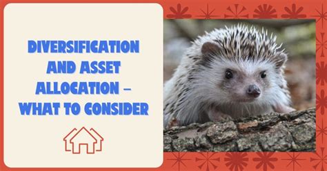 Diversification And Asset Allocation What To Consider Needs More Fiber