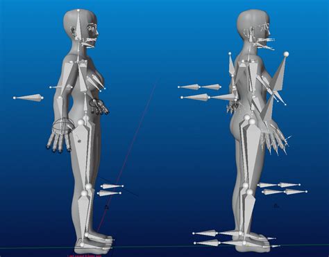 Wrong Scale After Exporting Fo Fbx Animation And Rigging Blender