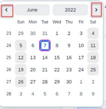 DatePicker Next And Previous Buttons Within The Calendar Are Not