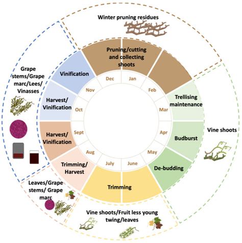 Vermicomposting As A Valorization Solution To The Winery Sector By Products