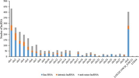Analyses Of Long Non Coding Rna And Mrna Profiling Using Rna Sequencing