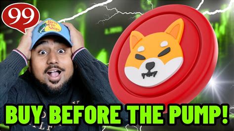 Shiba Inu Price Prediction August 2024 Will Shib Set For A Price