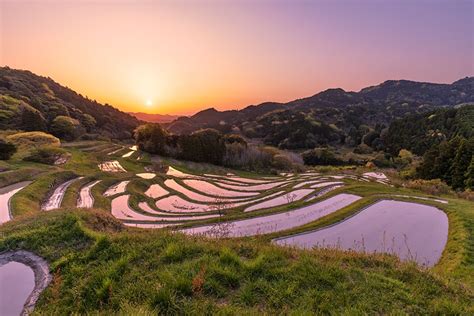 【千葉県 ～春の絶景・風物詩10選～】水田が鏡となり朝はピンクになる“都心に一番近い棚田”／2025年版 今こそ行きたい！ 「日本にしか