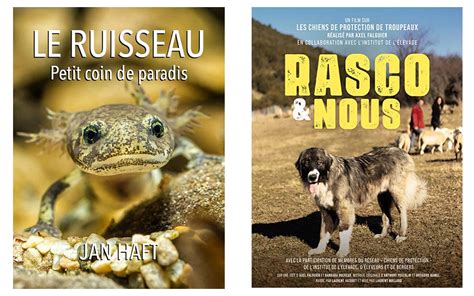Cin D Bats Wingen Jeudi Janvier Le Ruisseau Et Mardi