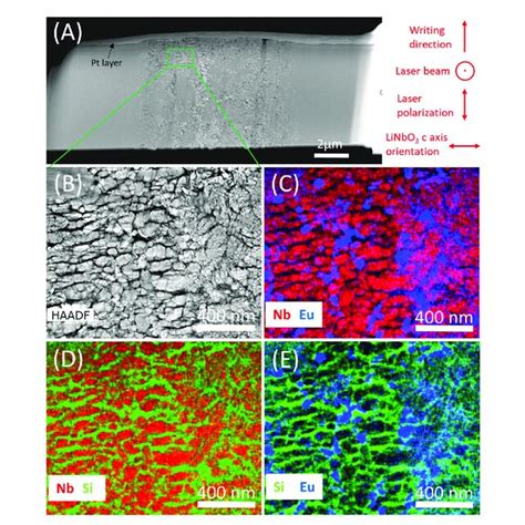 Stemeels Analysis Of The Disordered Irradiated Area In Lnsb1eu This
