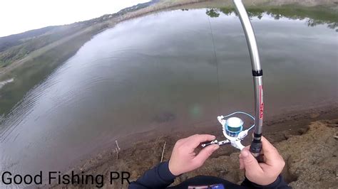 Lago De Villalba Puerto Rico Pesca De Lobinas YouTube