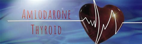 Amiodarone And Thyroid 2016 Ata Guidelines Gt Health