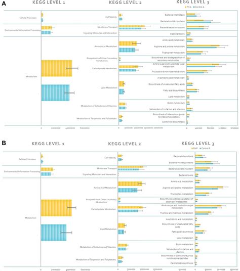 Picrust Predictions Of The Functional Composition Of S Aurata Gut