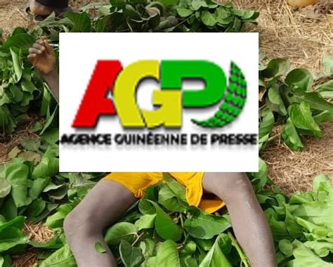Siguiri Urgent Découverte de 3 corps sans vie dans les localités de