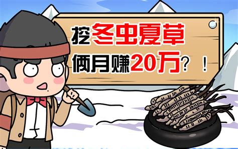 挖虫草吗？1年只工作两个月年薪20万 缸灿食话 缸灿食话 哔哩哔哩视频