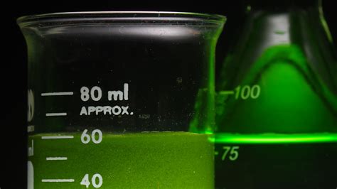 Magical Algae Turns Sewage Into Biofuel And Dasani Grist
