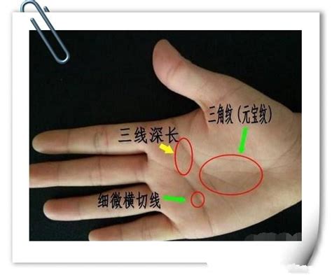 有此手相者多半是，锦衣夜行，富贵不还乡