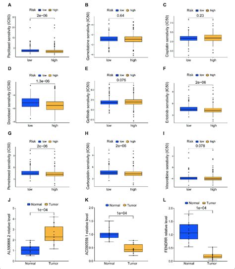 Screening Of Candidate Compounds And Model Validation In Human Luad