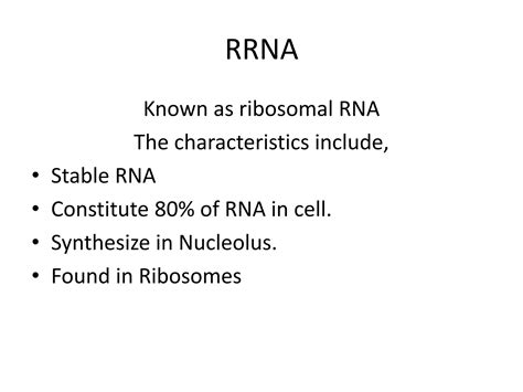 Non Coding Rna Ppt