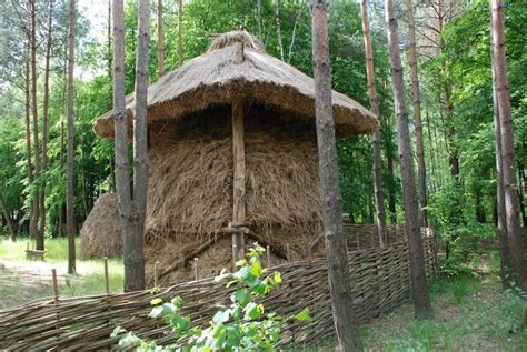 Міні Пирогів серед лісу Рукотвори