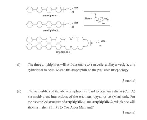 Solved The Three Amphiphiles Will Self Assemble To A
