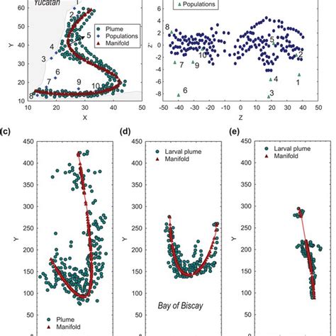 Examples Of Manifold Approximation Based On Actual Data A Migration