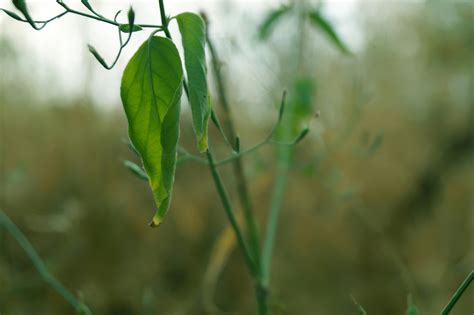 Chetan Menaria Photography