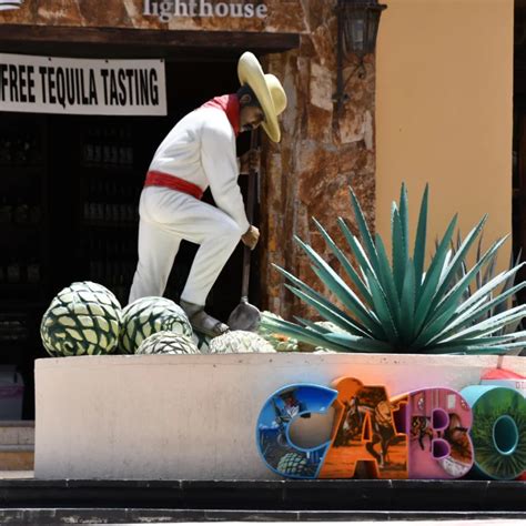 Los Cabos Remains Safe For Tourists Despite Recent Increase In Crime