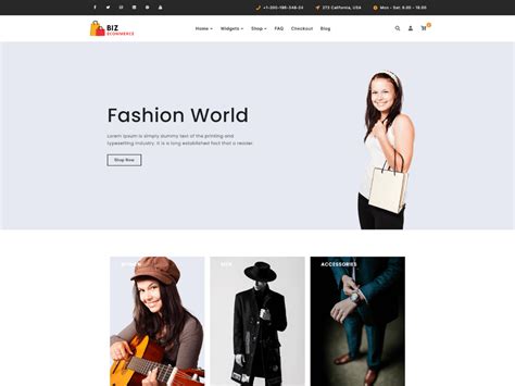 Biz Ecommerce Theme —