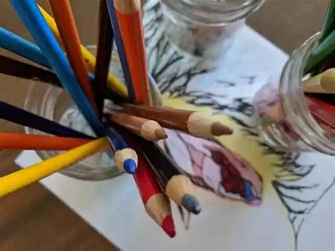 Vulva Coloring Sex Education By Offidocs For