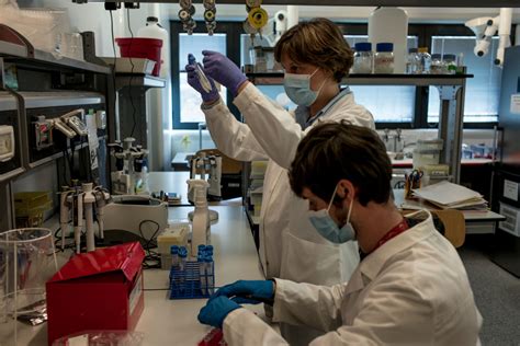 Work Perspective Ahead As Pandemic Moves Beyond Days