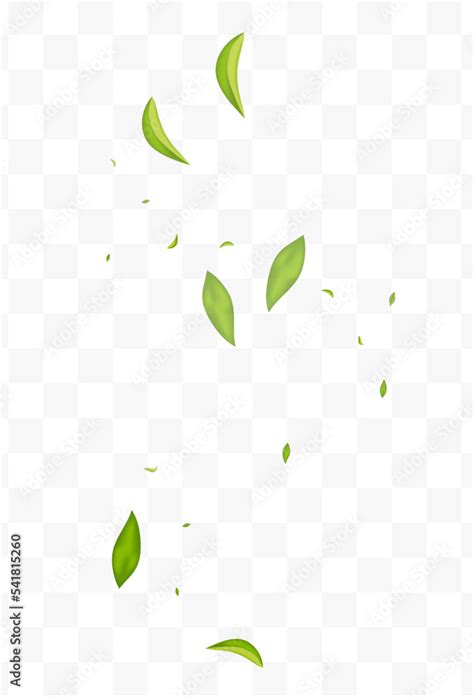 Forest Foliage Fly Vector Transparent Background Stock Vector Adobe Stock