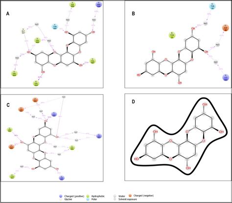 The 2d Intermolecular Interactions Between Ligand Atoms And The Target