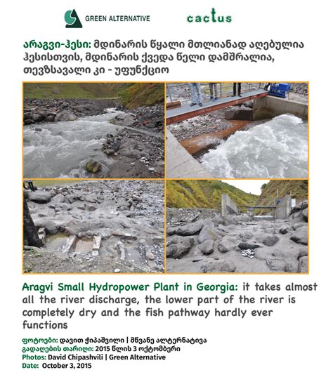 მცირე და საშუალო ჰესების გავლენა ბუნებრივ გარემოზე Green Alternative