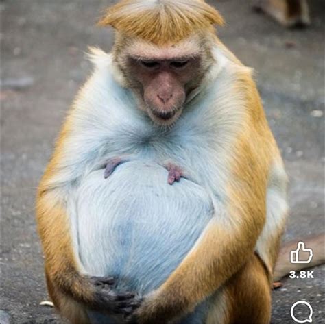 We Need This As Ah Intro On A Song 😂😂😂😂😂🤌 Christel Andries Facebook