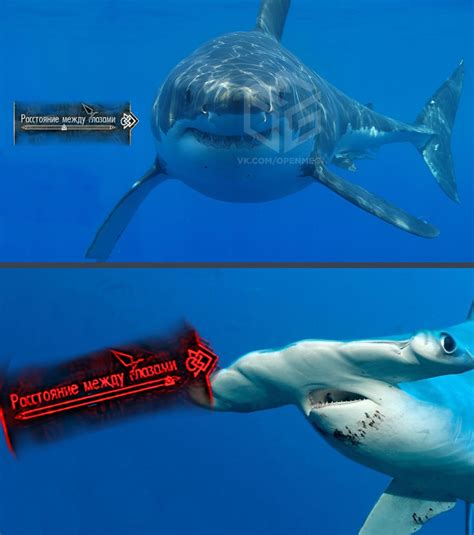 При создании персонажа главное — не переборщить Skyrim The Elder