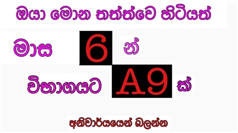 මාස 6න් A9 ක් 6 Month Plan Gce Ol Exam Exam Tricks Olexam