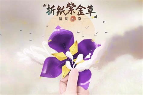 紫金草 折纸和平之花 搜狗百科