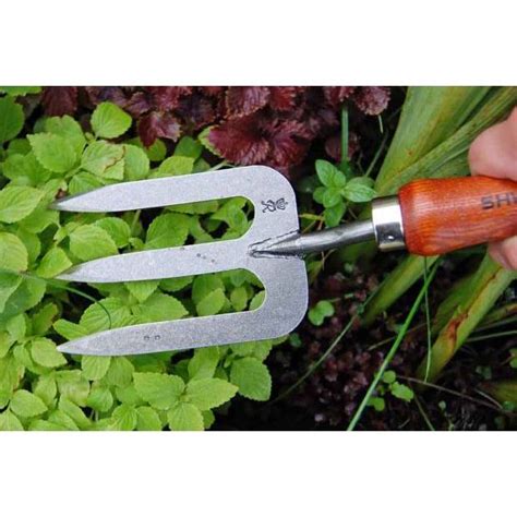 Hand Fork Irish Seed Savers Association