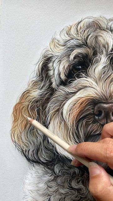Cockapoo Painting Tutorial How To Paint Curly Dog Fur Cockapoo